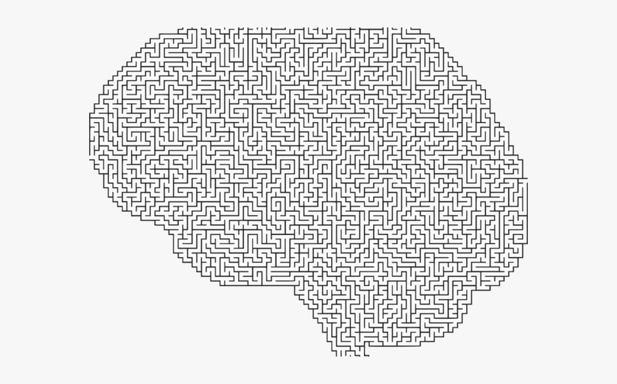 Maze Clipart Brain - Line Art , Free Transparent Clipart - ClipartKey