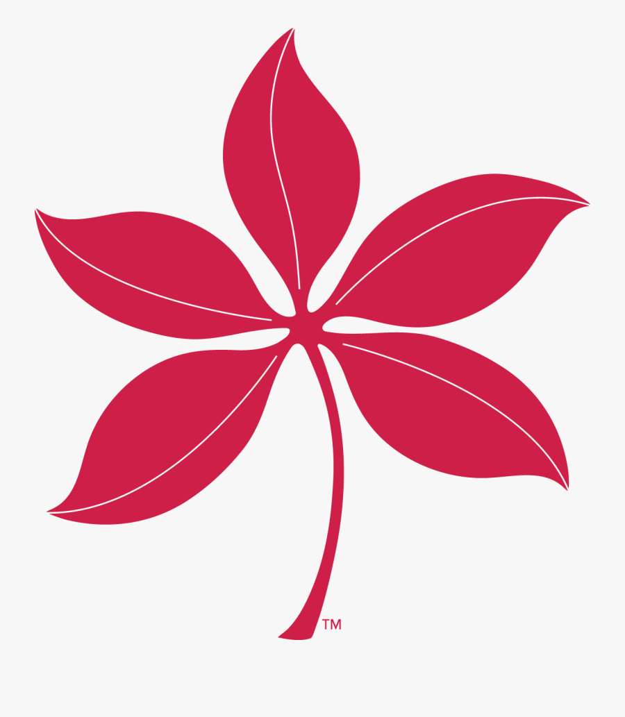 Transparent Ohio Clipart - Ohio State Buckeye Leaf Red , Free ...