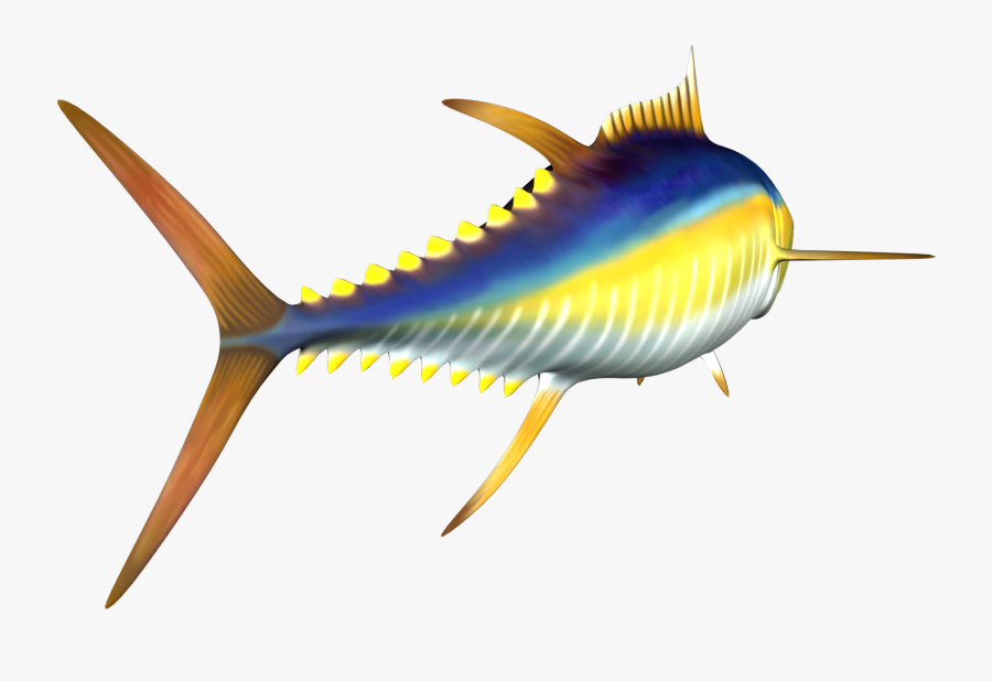 And Clip Art - Yellowfin Tuna Png , Free Transparent Clipart - ClipartKey