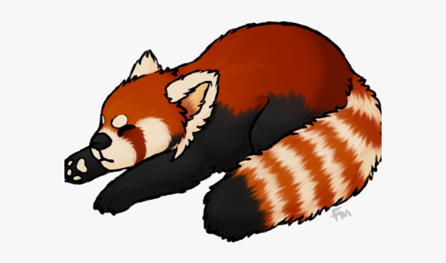 Red Panda Clear Background , Free Transparent Clipart - ClipartKey
