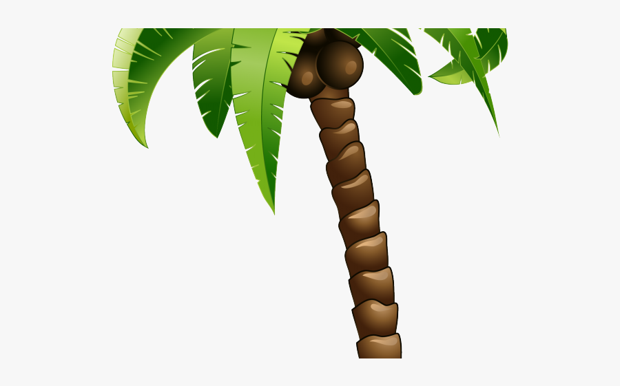 Coconut Tree Cartoon - Cartoon Palm Tree Png , Free Transparent Clipart ...