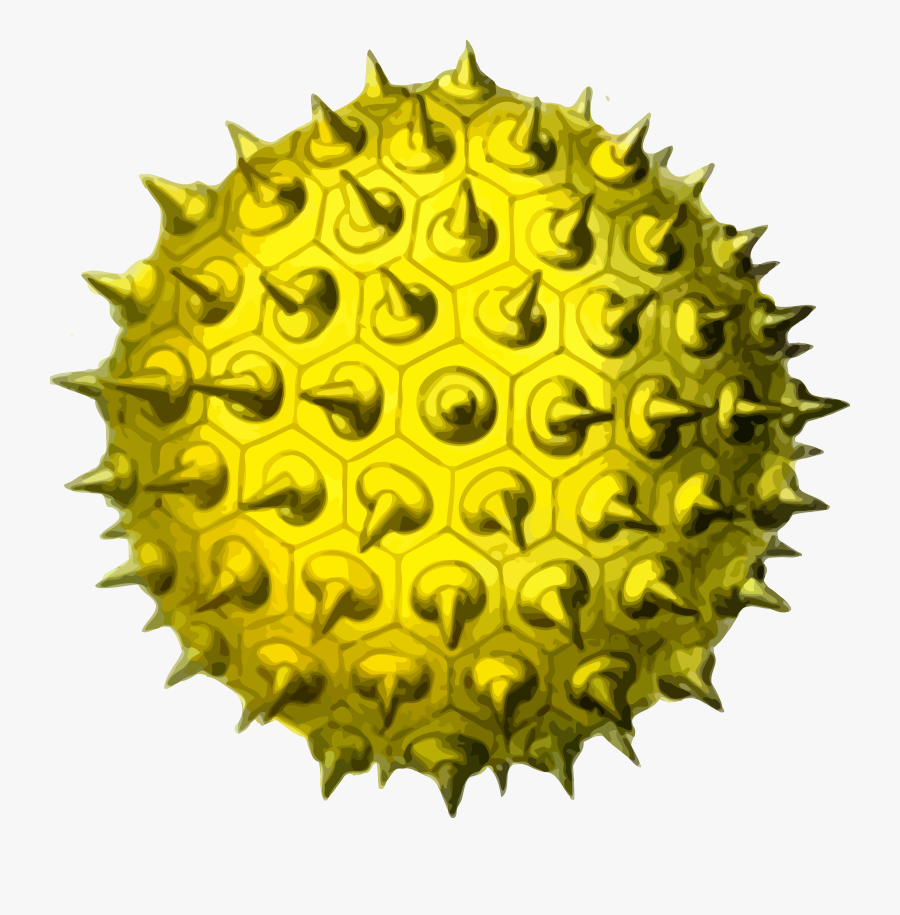 Pollen Png , Free Transparent Clipart - ClipartKey