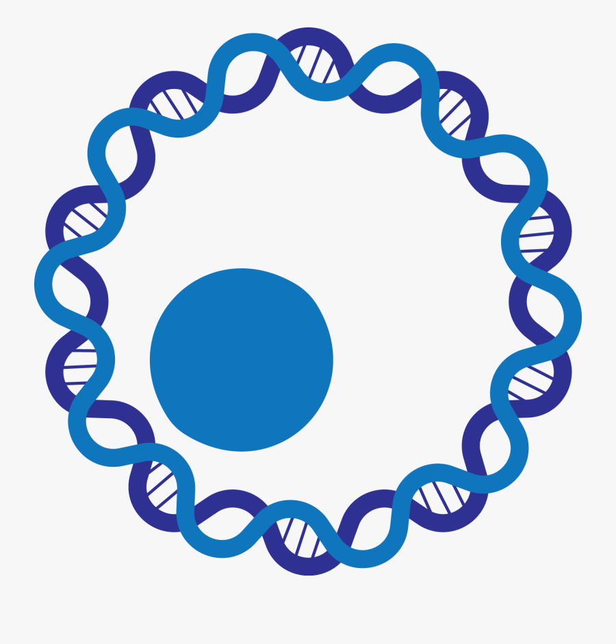 Biology Transparent , Free Transparent Clipart - ClipartKey