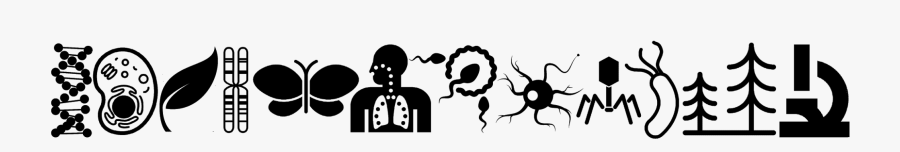Biology Silhouette , Free Transparent Clipart - ClipartKey