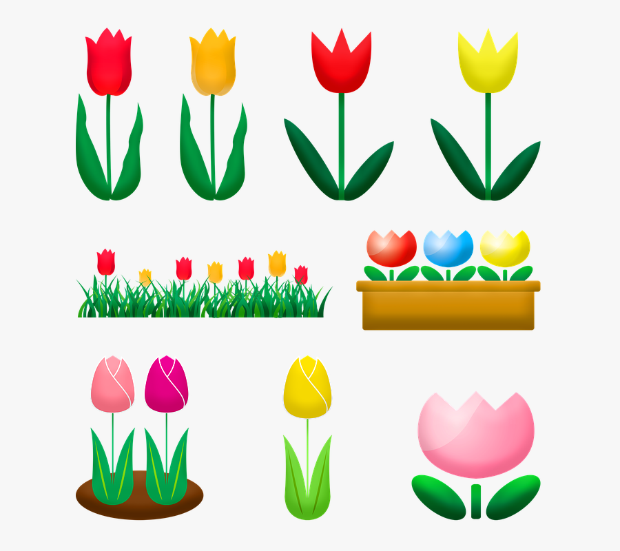 Tulips, Garden Tulip, Spring, Garden, Flowers In Pot - Tulip , Free ...