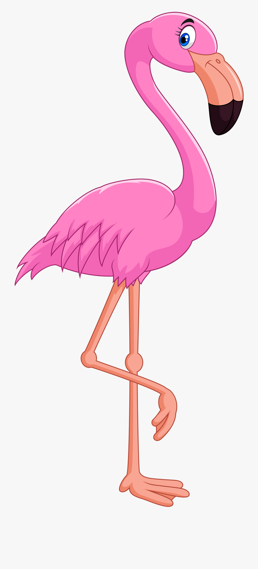 Flamingo Clipart - Flamingo Friday , Free Transparent Clipart - ClipartKey