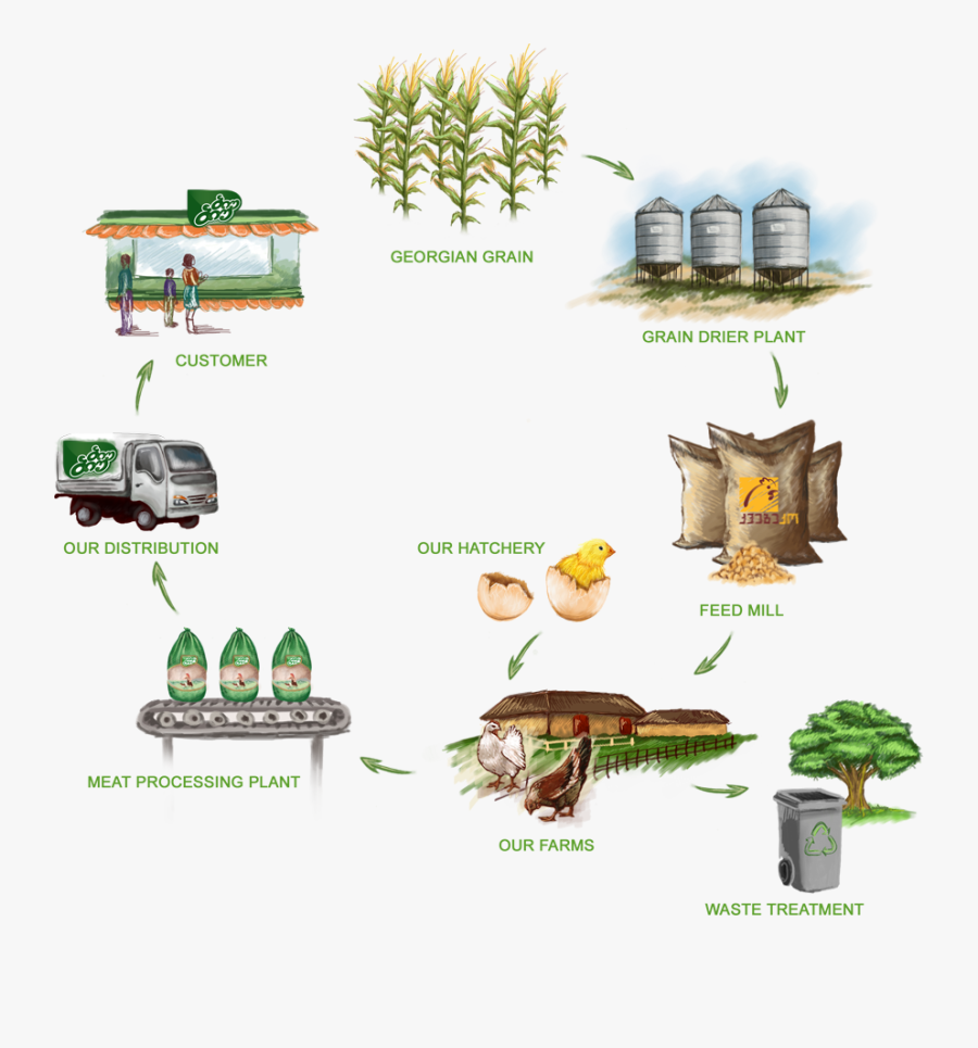 Biu Biu - Illustration , Free Transparent Clipart - ClipartKey