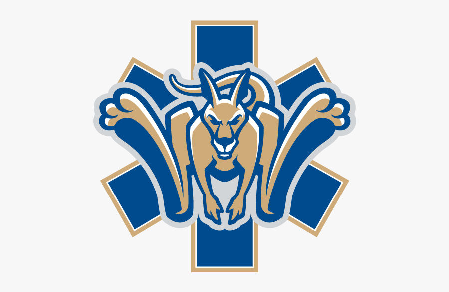 Suny Canton Kangaroos Logo , Free Transparent Clipart - ClipartKey