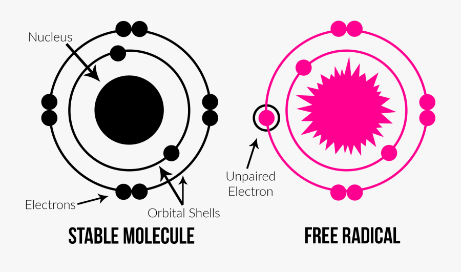Molecule And Free Radical Diagrams - Free Radical Png , Free ...