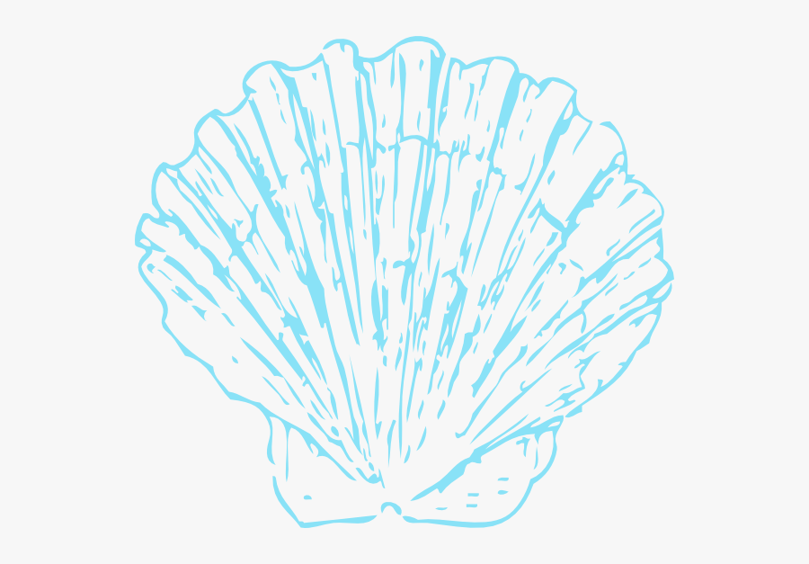 Seashell Clipart Teal - Blue Seashell Clipart , Free Transparent ...