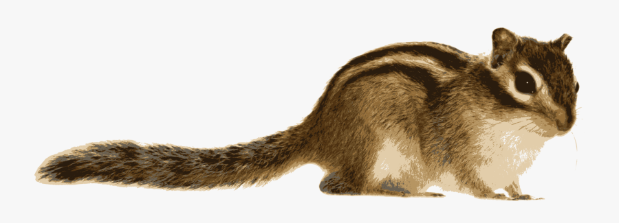 Transparent Background Chipmunk Clipart , Free Transparent Clipart ...