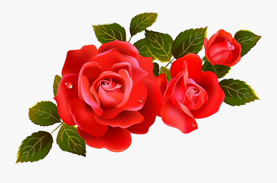 Rose Flower Vector Png , Free Transparent Clipart - ClipartKey