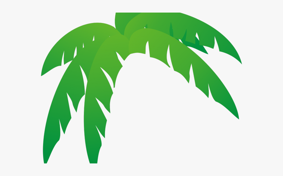 Cartoon Palm Leaves