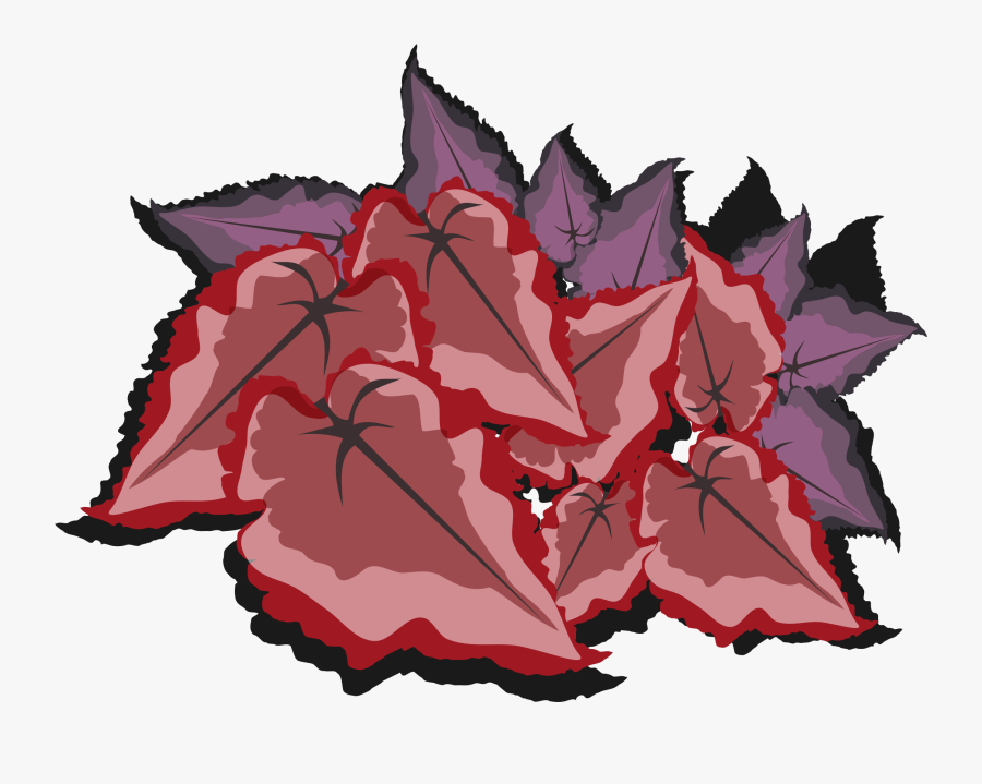 Plant,flower,leaf - Clip Art , Free Transparent Clipart - ClipartKey