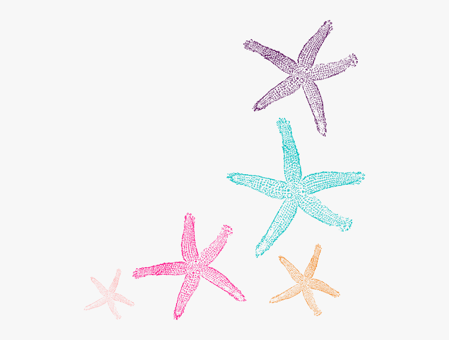 2 Clipart Starfish - Starfish Border , Free Transparent Clipart ...