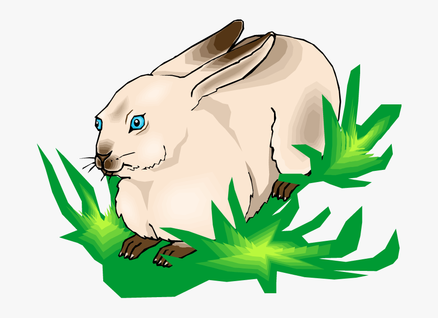 Rabbits Eating Grass In Forest Clipart , Free Transparent Clipart ...