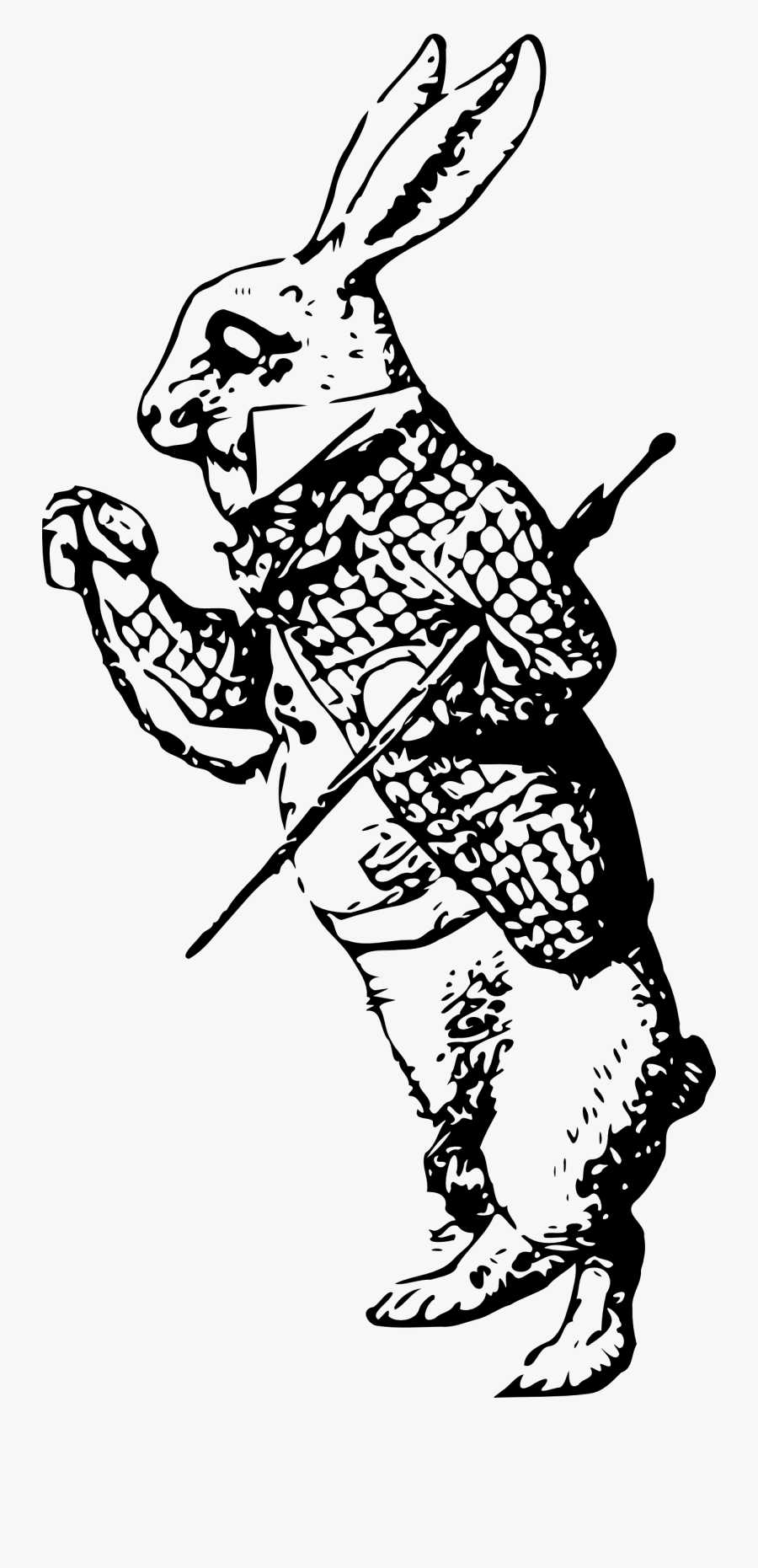 The White Rabbit Looking At His Pocket Watch - White Rabbit Alice In ...