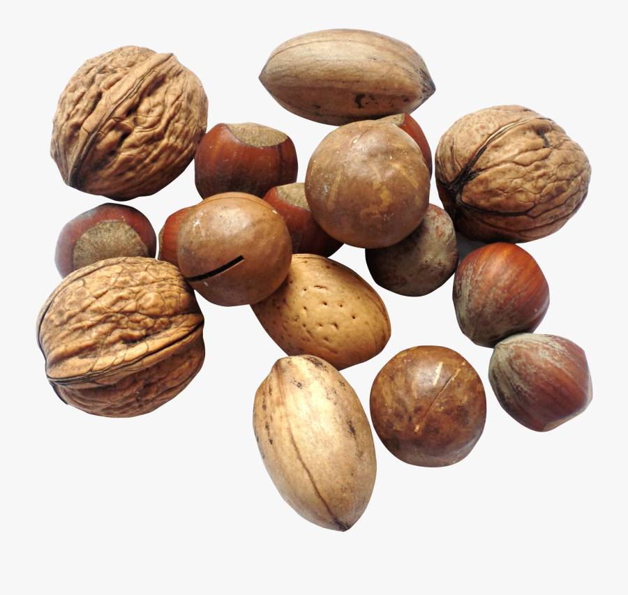 Walnut Png Transparent Images - Walnut Pod , Free Transparent Clipart ...