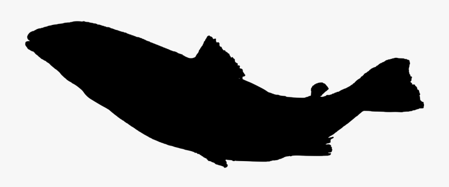 Fish,sea Vector Graphics,free - Sea Life Silhouette Png , Free ...