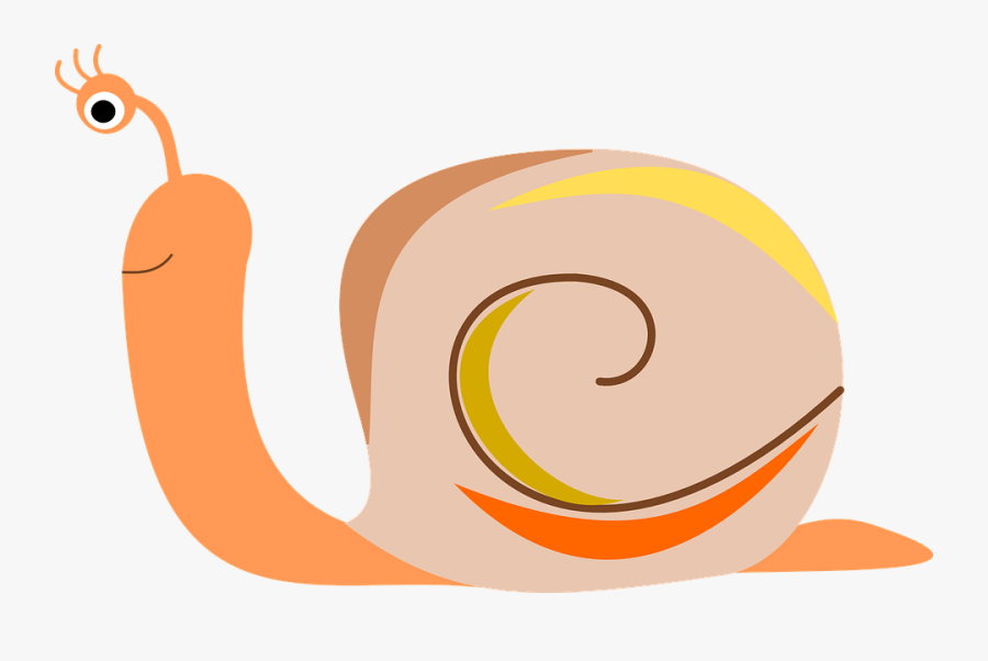 Snail Clipart Non Living Thing - Cartoon Snail Gif Png , Free ...