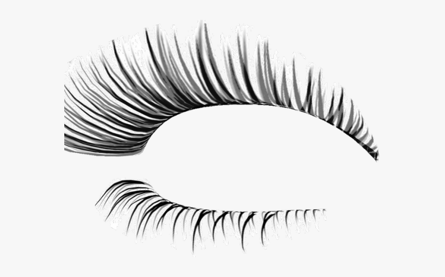 Transparent Background Eyelashes Transparent , Free Transparent Clipart ...