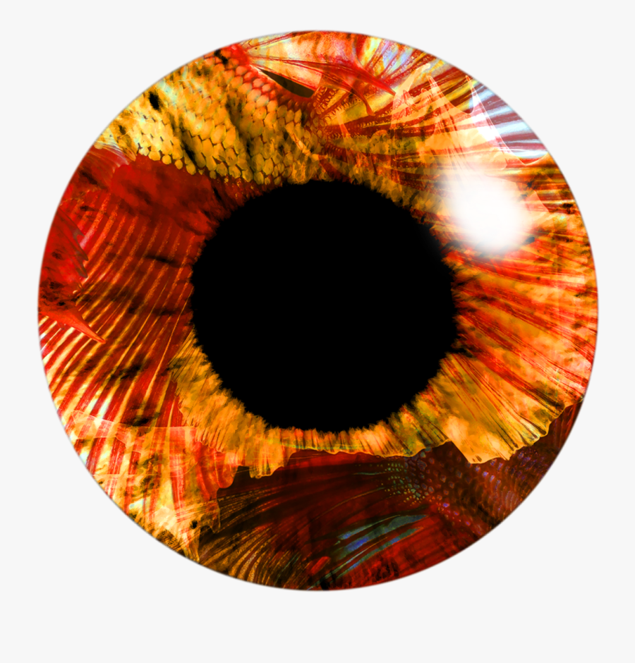 Lens Clipart Iris - Png Effects For Picsart , Free Transparent Clipart ...