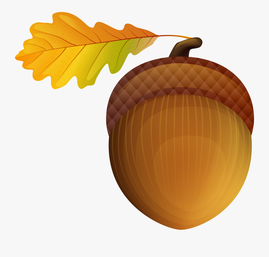 Acorn Png Clip Art Image , Free Transparent Clipart - ClipartKey
