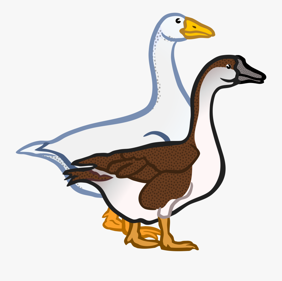 Geese - Coloured - Geese Clip Art , Free Transparent Clipart - ClipartKey