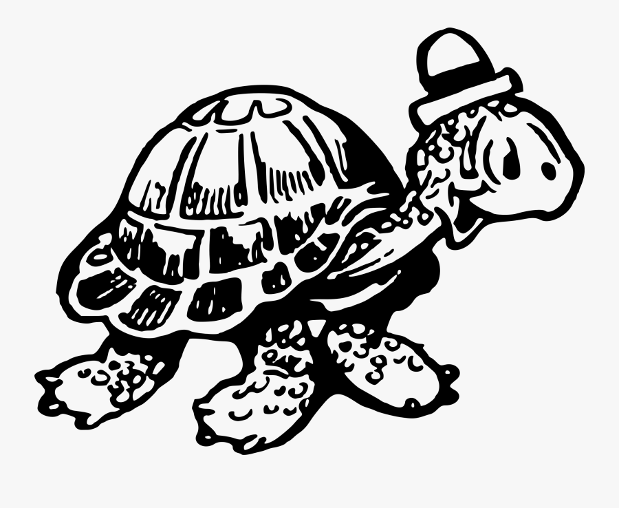 Turtle,line Art,reptile - Tortoise Drawing Png , Free Transparent ...