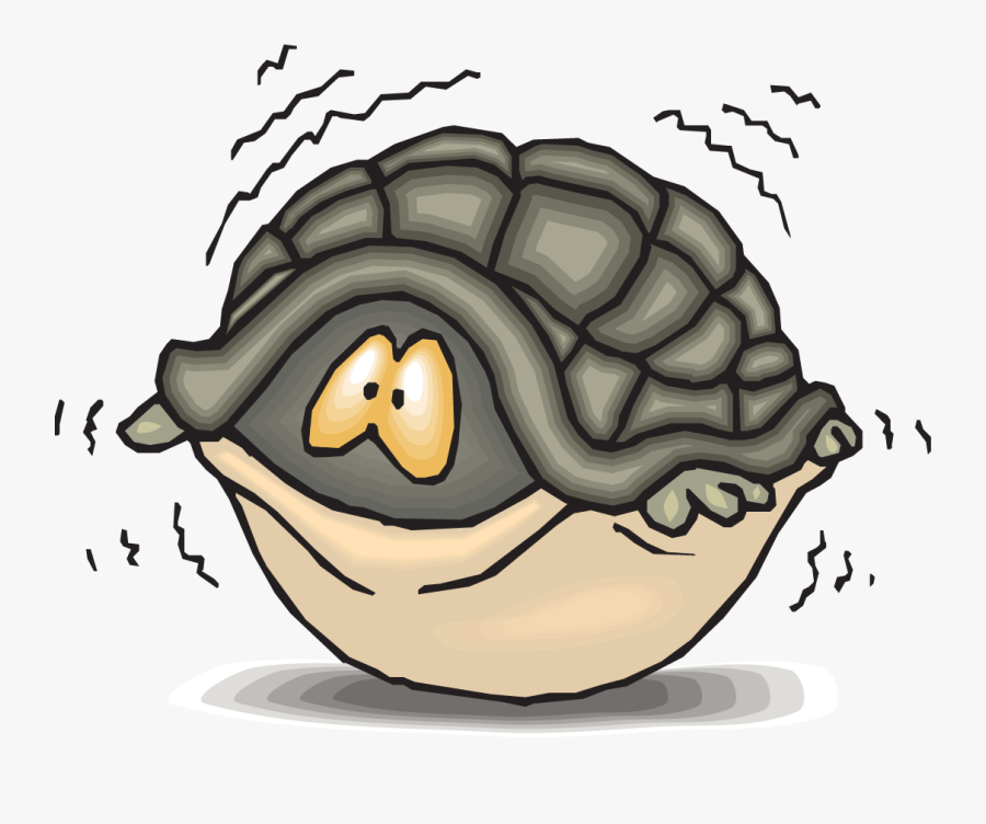 Shell Teenage Mutant Ninja - Turtle Inside Shell Cartoon , Free ...