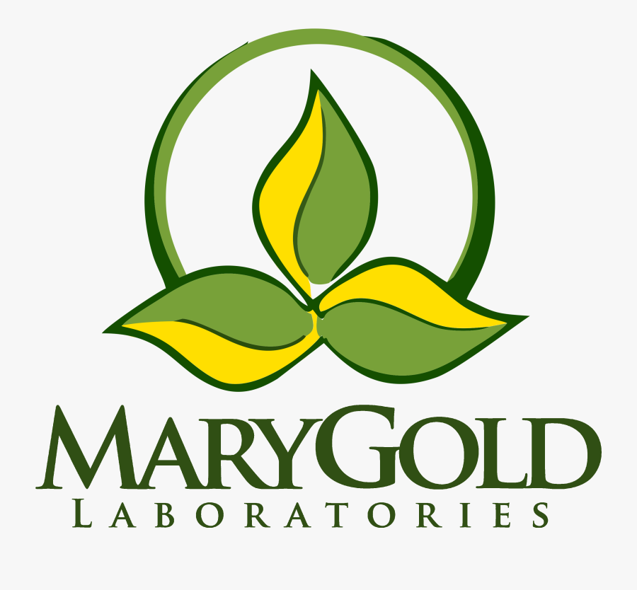 Mary Gold Lab , Free Transparent Clipart - ClipartKey