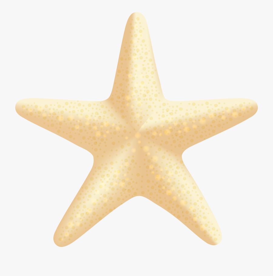 Sea Star Clipart At Getdrawings , Free Transparent Clipart - ClipartKey
