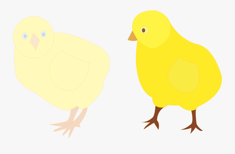 Chick Free Photo Pixabay - Chicks Figure , Free Transparent Clipart ...