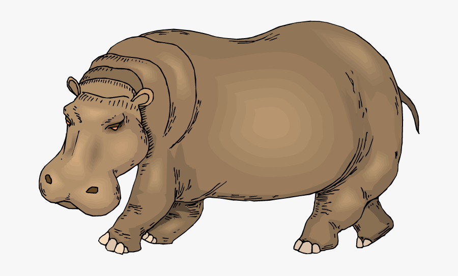 Hippo Clipart - Hippopotamus Clipart - Flash Card Of Hippopotamus ...
