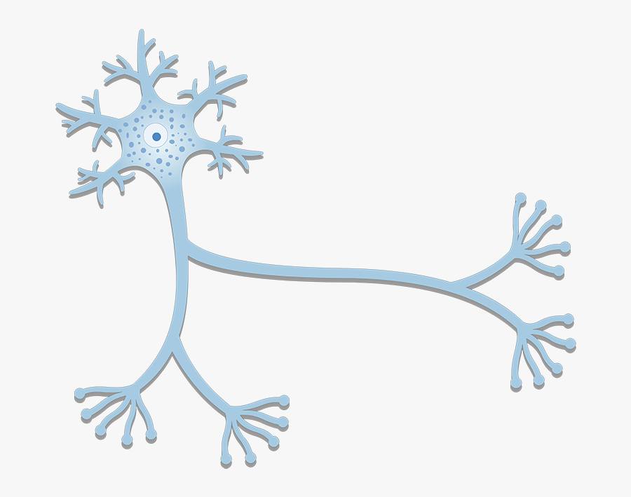 Clip Art General Structure Of A - Terminal Boutons Or Synaptic Knobs ...