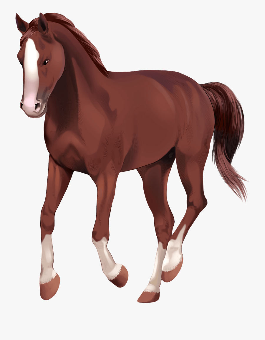 Sorrel , Free Transparent Clipart - ClipartKey