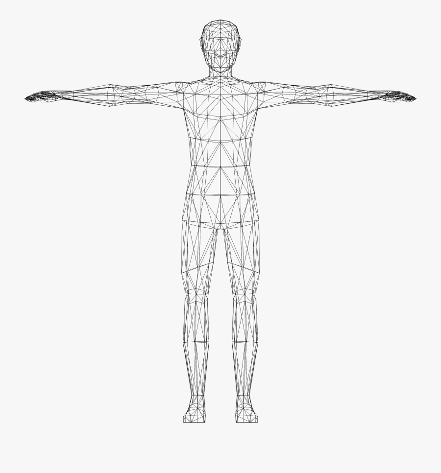 Humans Clipart Wireframe - Body Clipart Transparent , Free Transparent ...