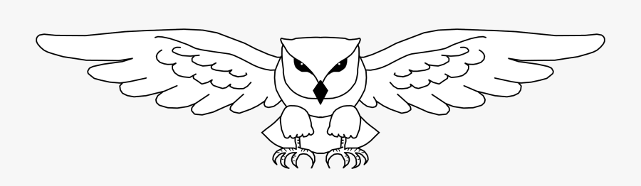 Simple Owl Line Drawing - Cartoon , Free Transparent Clipart - ClipartKey