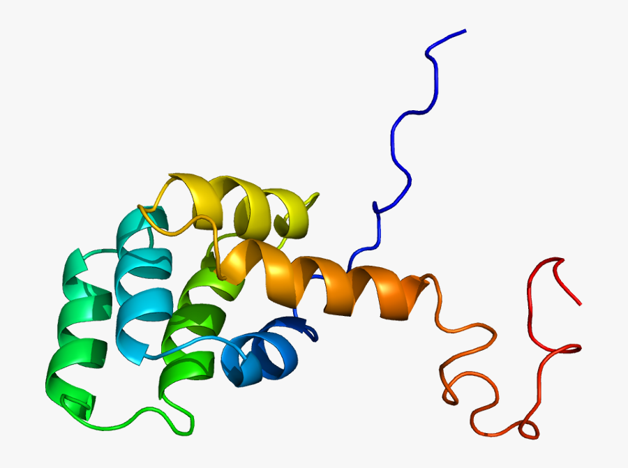 Protein Fas Pdb 1ddf - Fas Fas Ligand Structure , Free Transparent ...