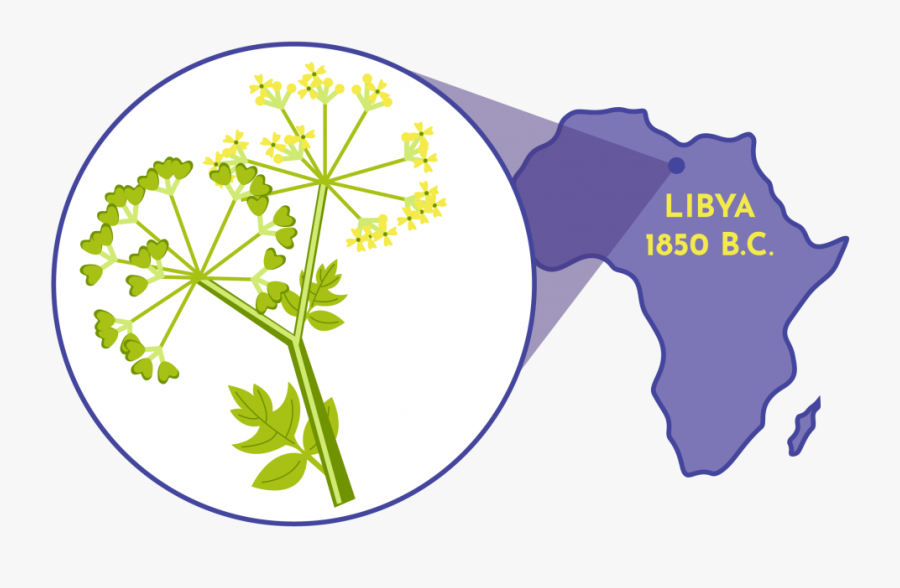 Mandala Of Health Model , Free Transparent Clipart - ClipartKey
