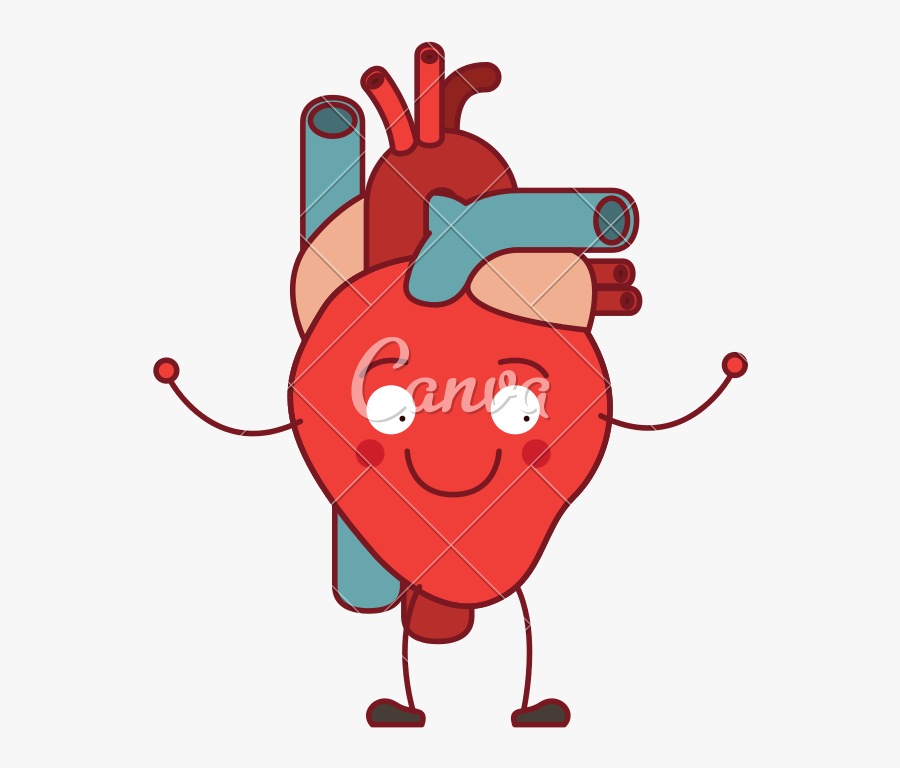 Human Heart Cartoon - Illustration , Free Transparent Clipart - ClipartKey