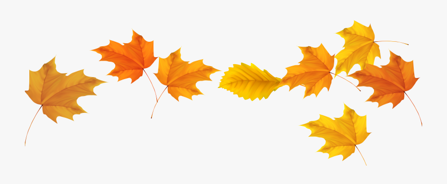 November 2018 Newsletter - Transparent Background Fall Leaves Clipart ...