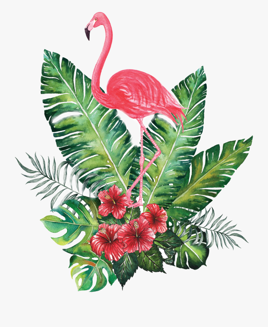 Transparent Watercolor Flamingo - Clip Art Watercolor Flamingo , Free ...