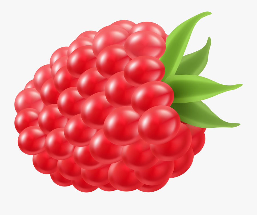 Fruit Clipart Raspberry - Transparent Background Clipart Raspberry ...