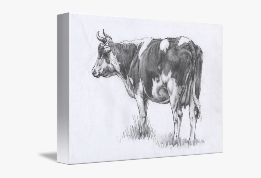 Backward Cow Sketch By Margaret Stockdale - Корова Рисунок Простым ...