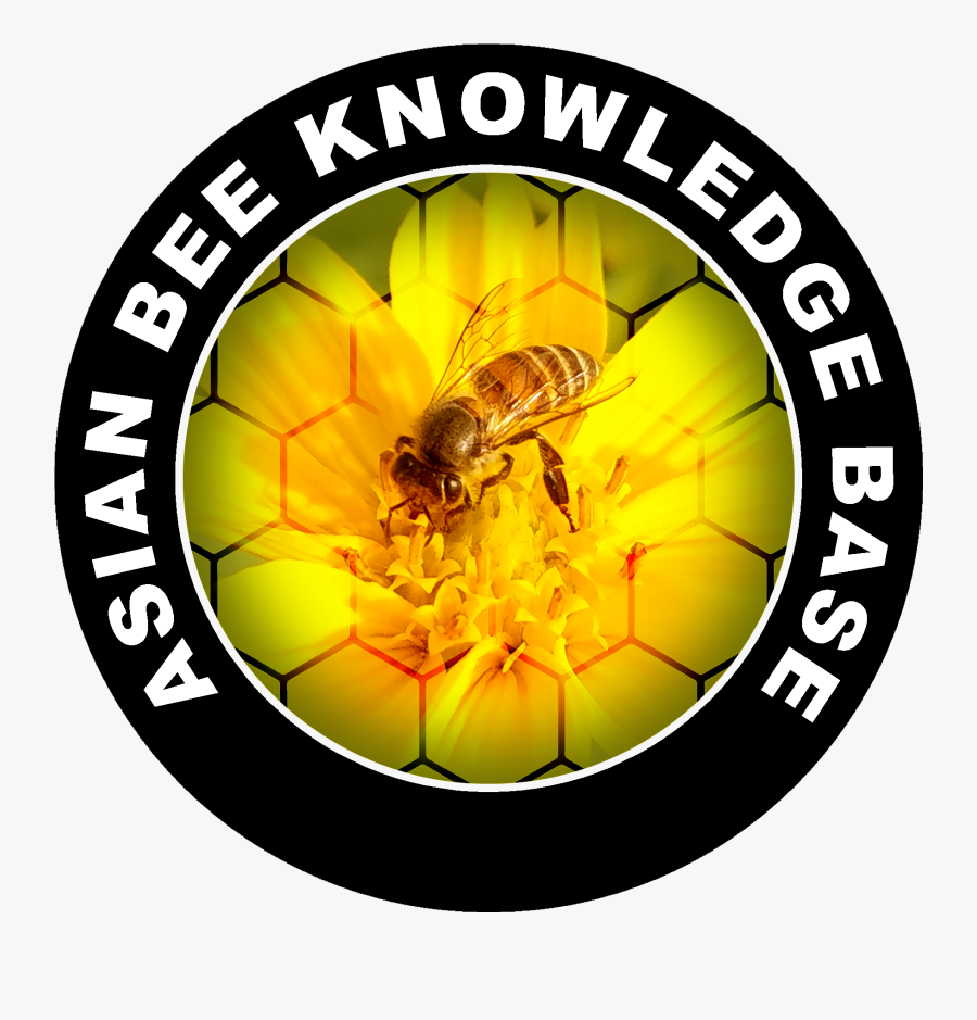 Transparent Busy Bee Clipart - Honeybee , Free Transparent Clipart ...