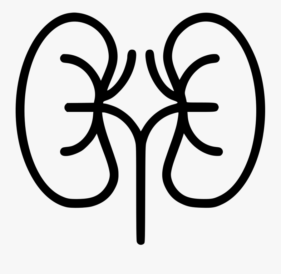 Transparent Kidneys Png - Icon Of Kidney Failure , Free Transparent ...