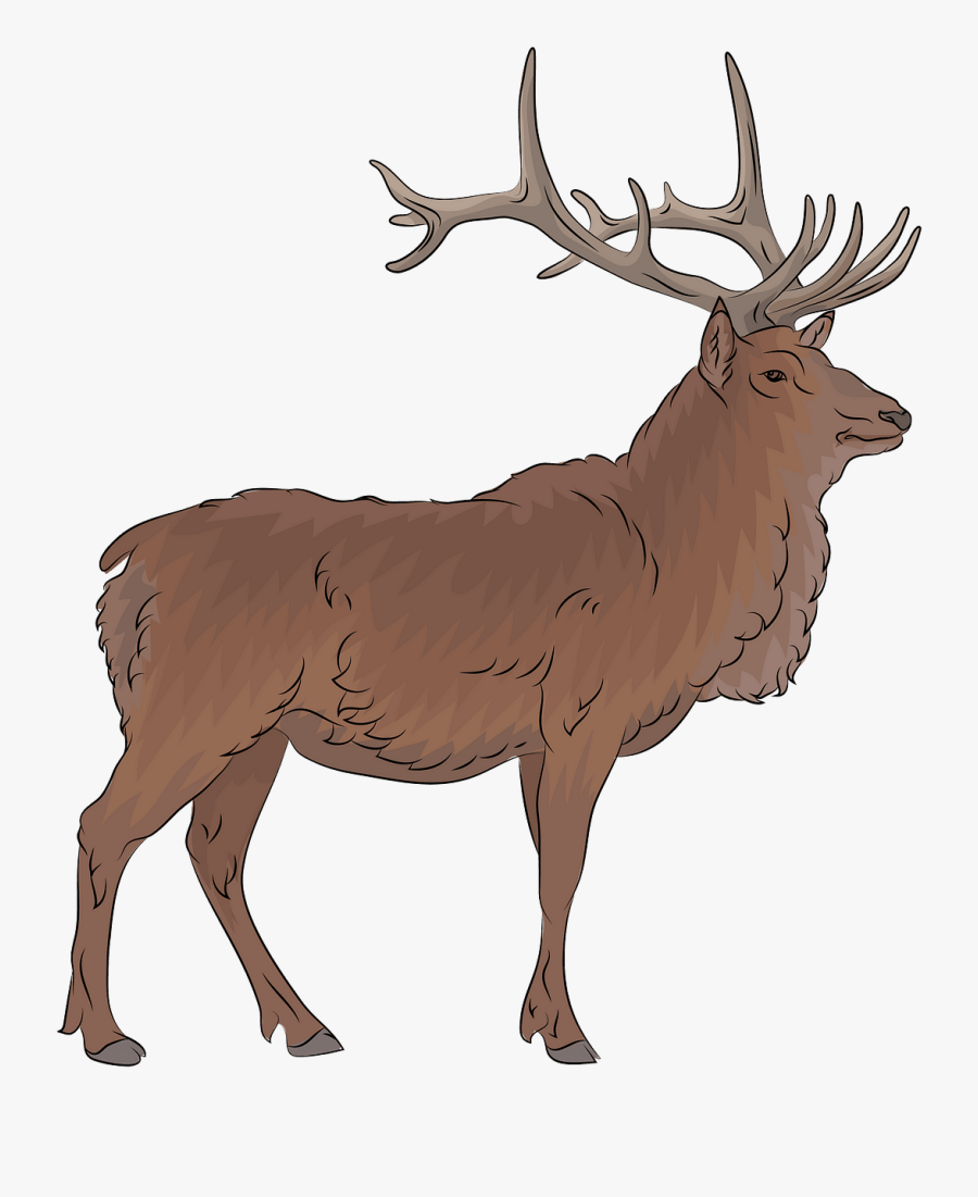 Estes Park Colorado Logo , Free Transparent Clipart - ClipartKey