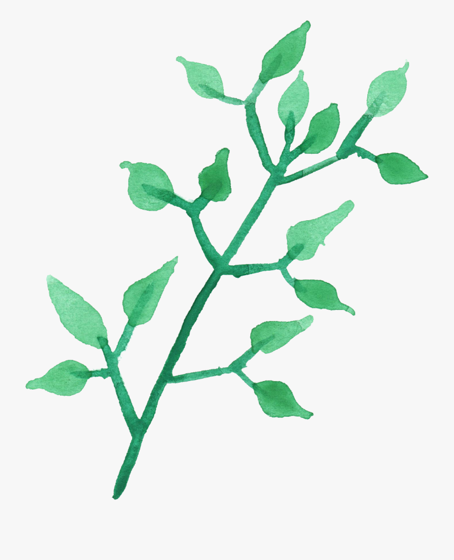 Ftestickers Watercolor Floral Greenery - Watercolor Painting , Free ...