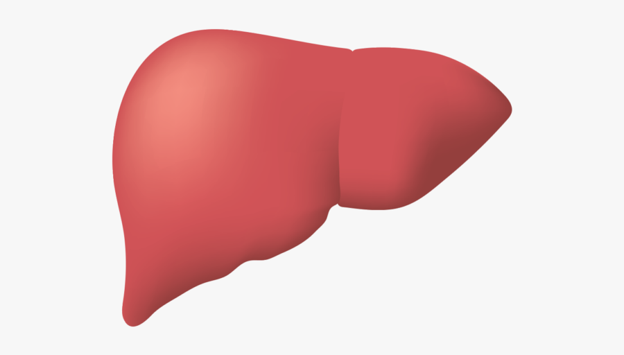 Lever , Free Transparent Clipart - ClipartKey